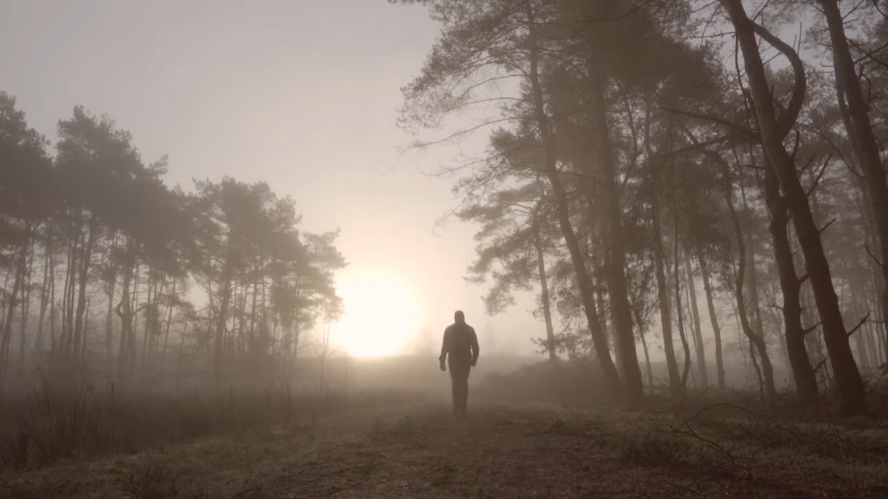 Detection Orang Object Detection Dataset And Pre Trained Model By Alfa Khoirin