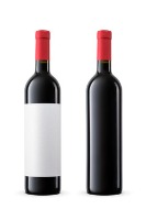 How to Use the hjjhjk Object Detection API