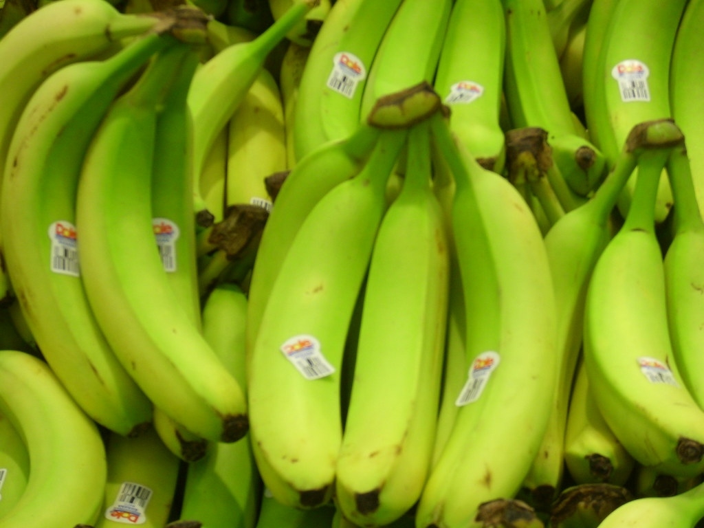 Fruits Detection Object Detection Dataset And Pre Trained Model By Public Plan