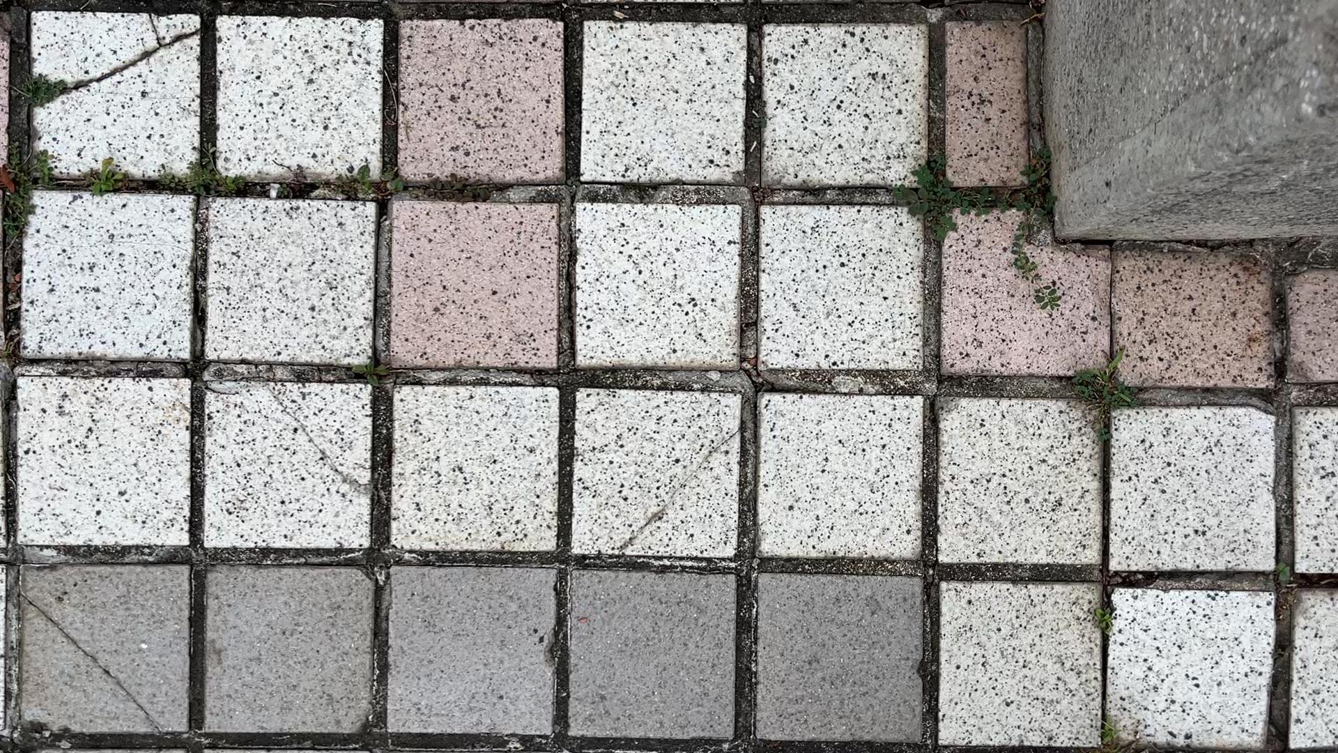 All Tile Image Dataset V2 Withou Buckled Object Detection Dataset And