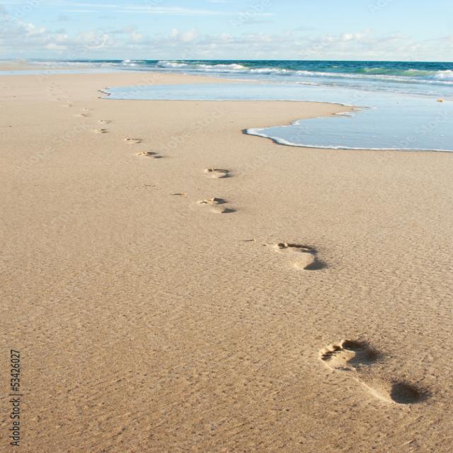 object-crime-scenev1 Object Detection Dataset by Crimescene