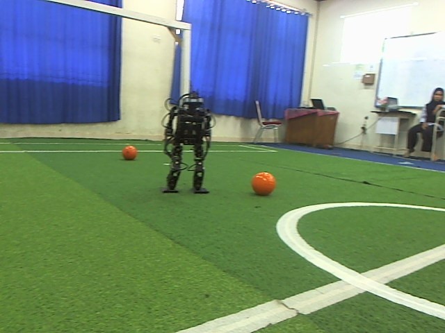 yolo Object Detection Dataset by yolo