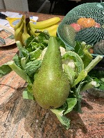 pear Object Detection Model by Yosra projects