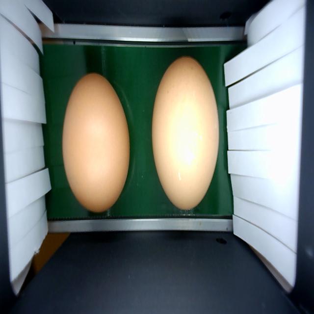Egg Detection Object Detection Model By Egg Detection