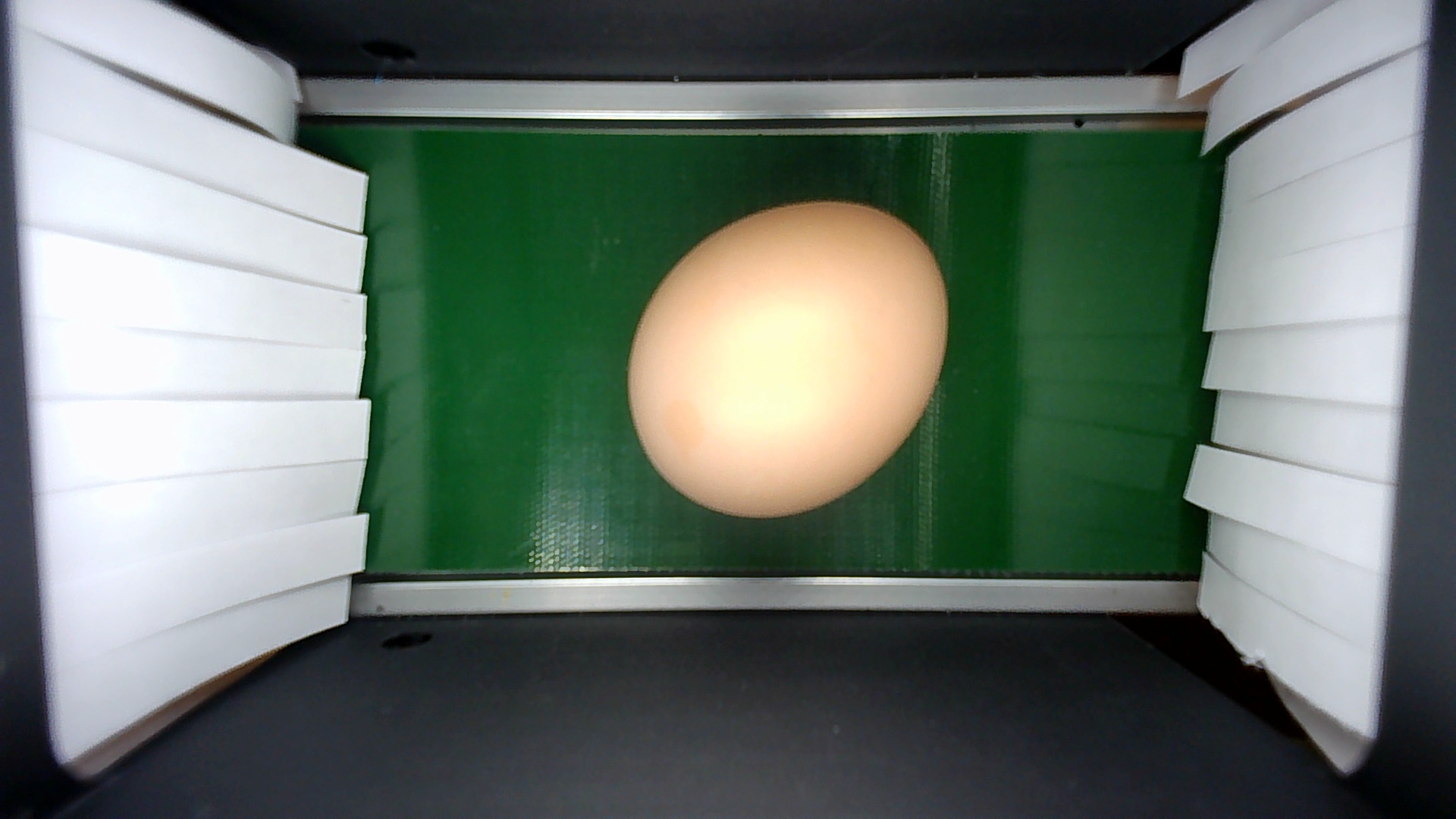 Egg Detection cls Classification Dataset by Egg Detection