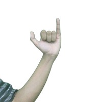 tguh - Roboflow Universe