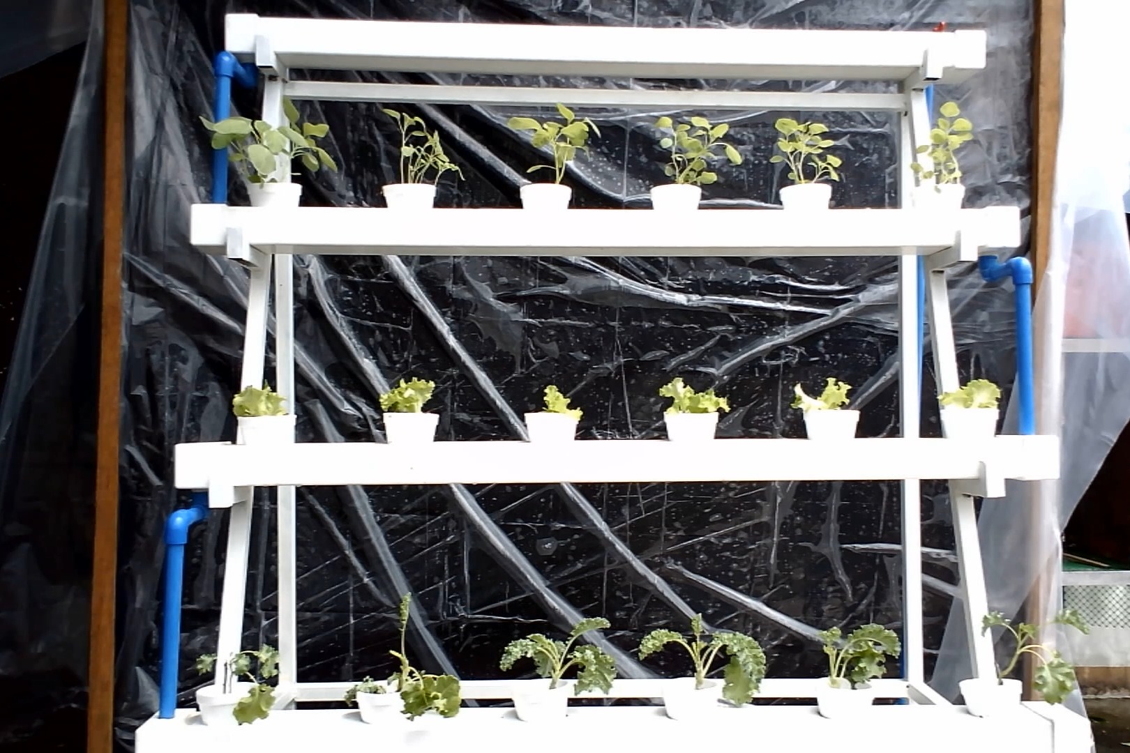 SECOND BATCH Object Detection Dataset by PLANTELLIGENT