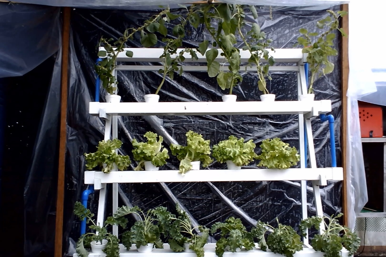 FIFTH BATCH Object Detection Dataset by PLANTELLIGENT