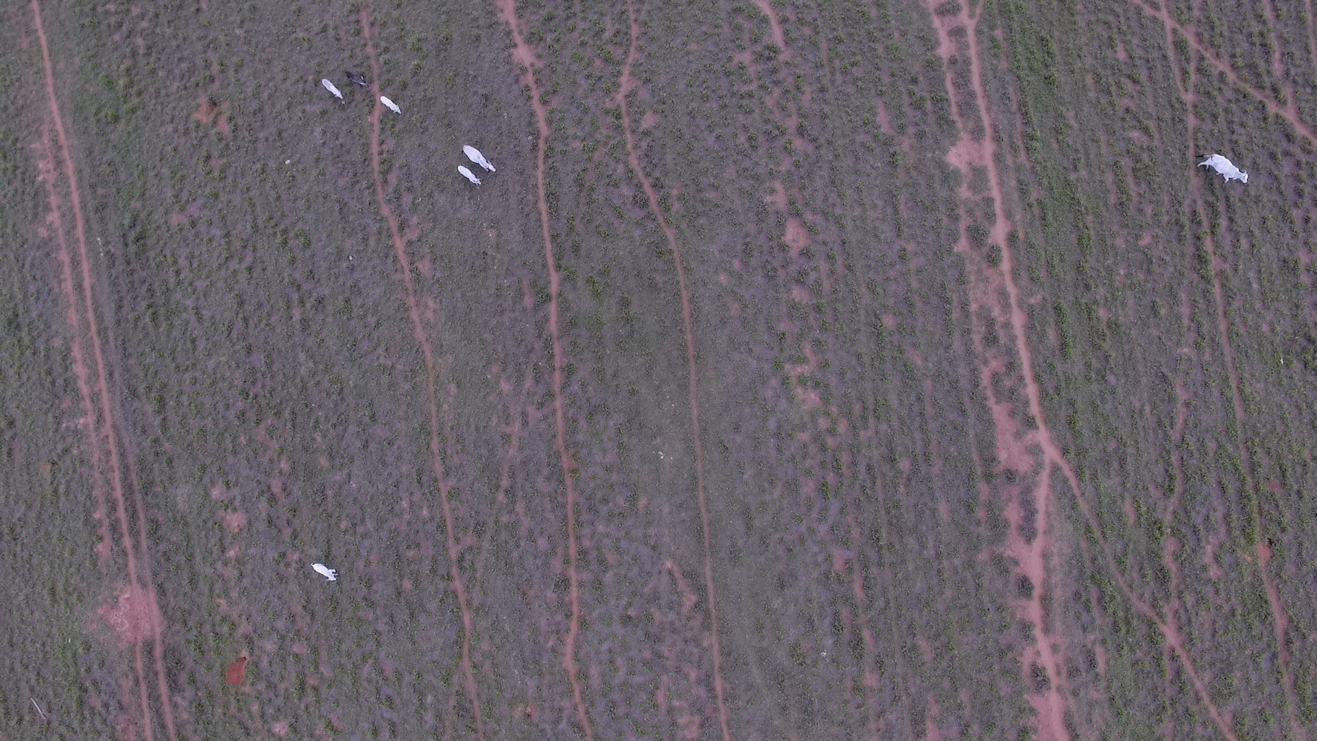 all_projects-seg Instance Segmentation Dataset by yuri borrasca