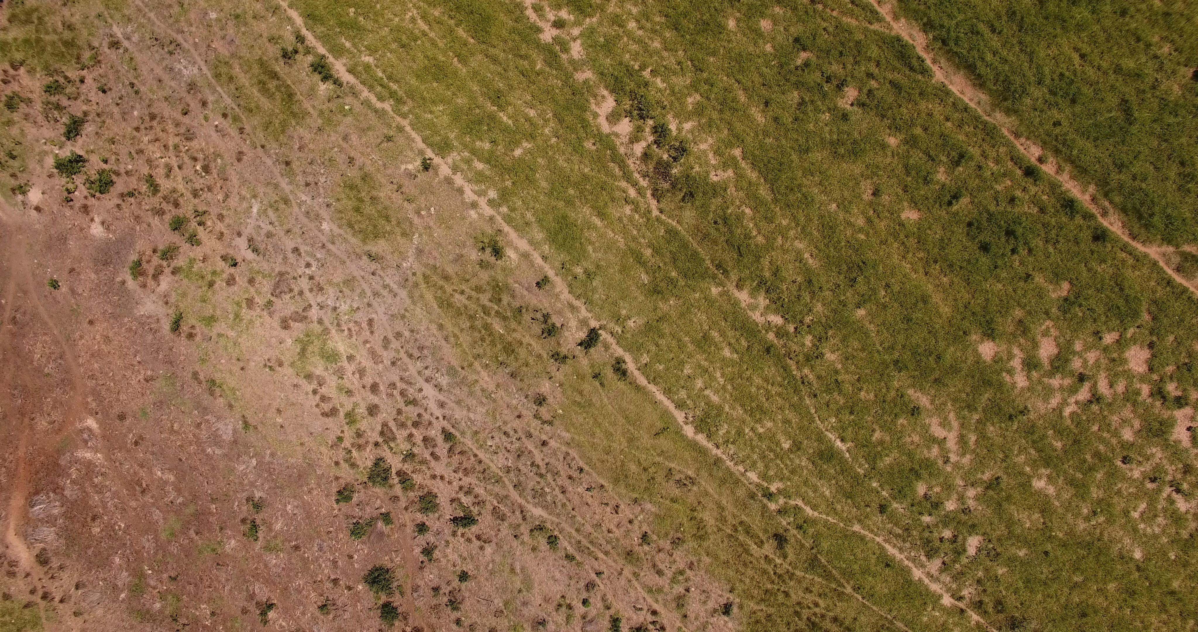 final_project-seg Instance Segmentation Model by yuri borrasca