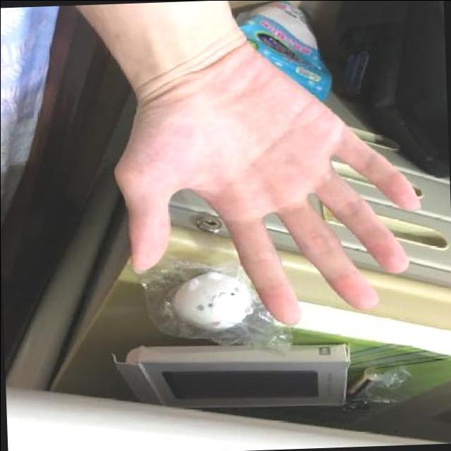 Handdetection Object Detection Dataset And Pre Trained Model By Work