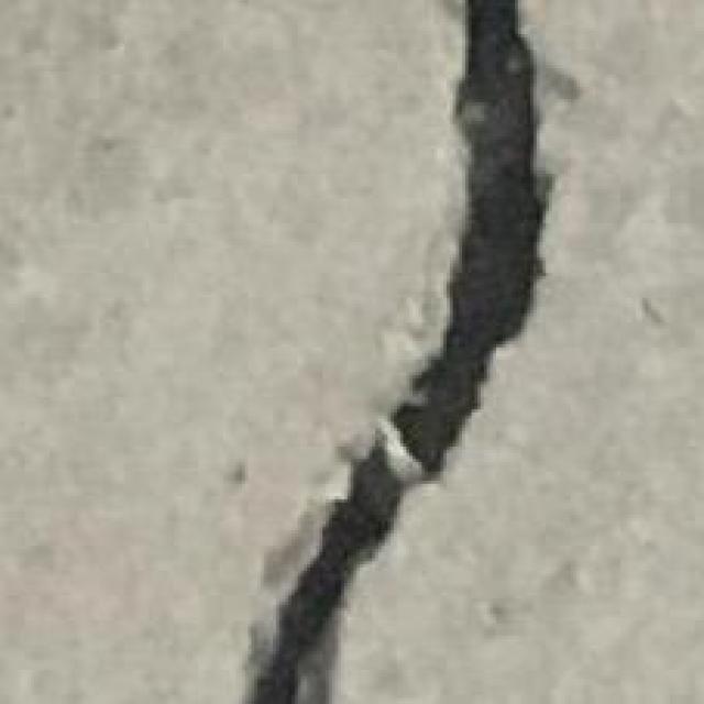 crack detection Instance Segmentation Model by crackdetection