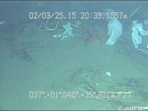 ocean Object Detection Dataset by yolodata