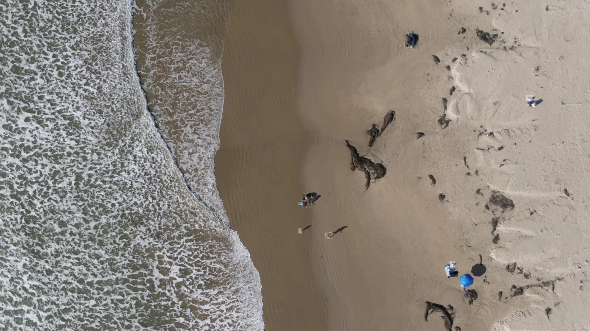 Shark Model 4 Object Detection Dataset By Public Shark Model