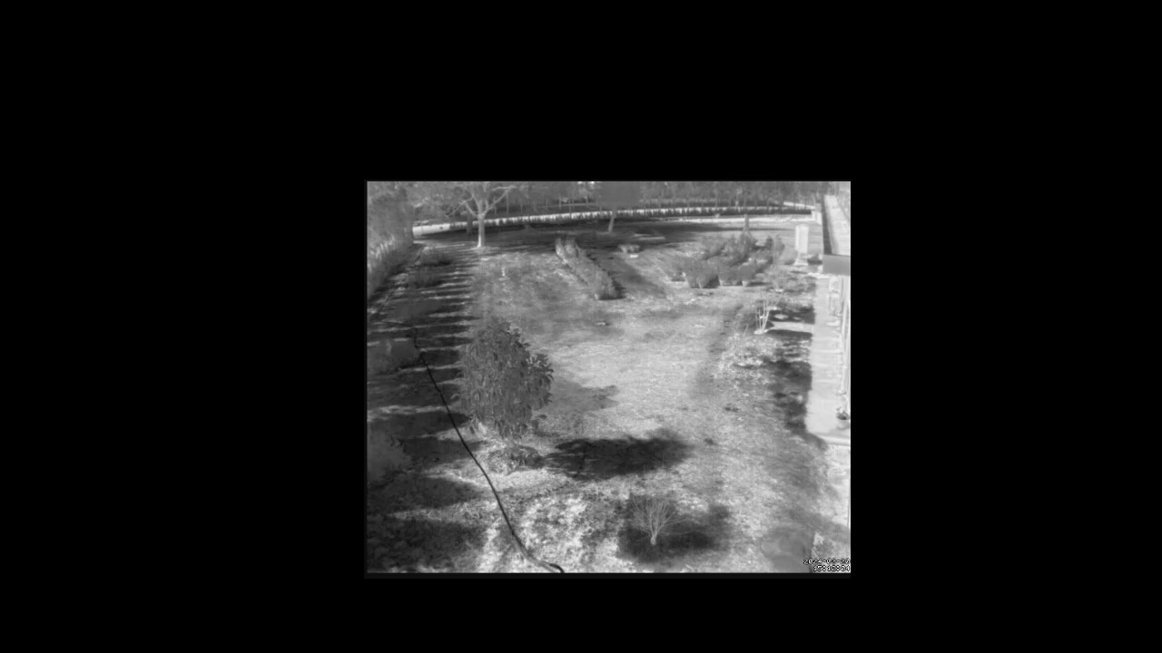 ISens Side Object Detection Model by cocotoyolo