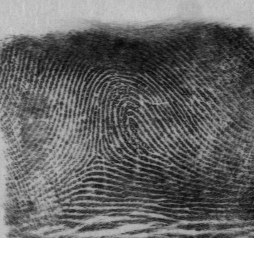 Fingerprint Generation - Roboflow Universe