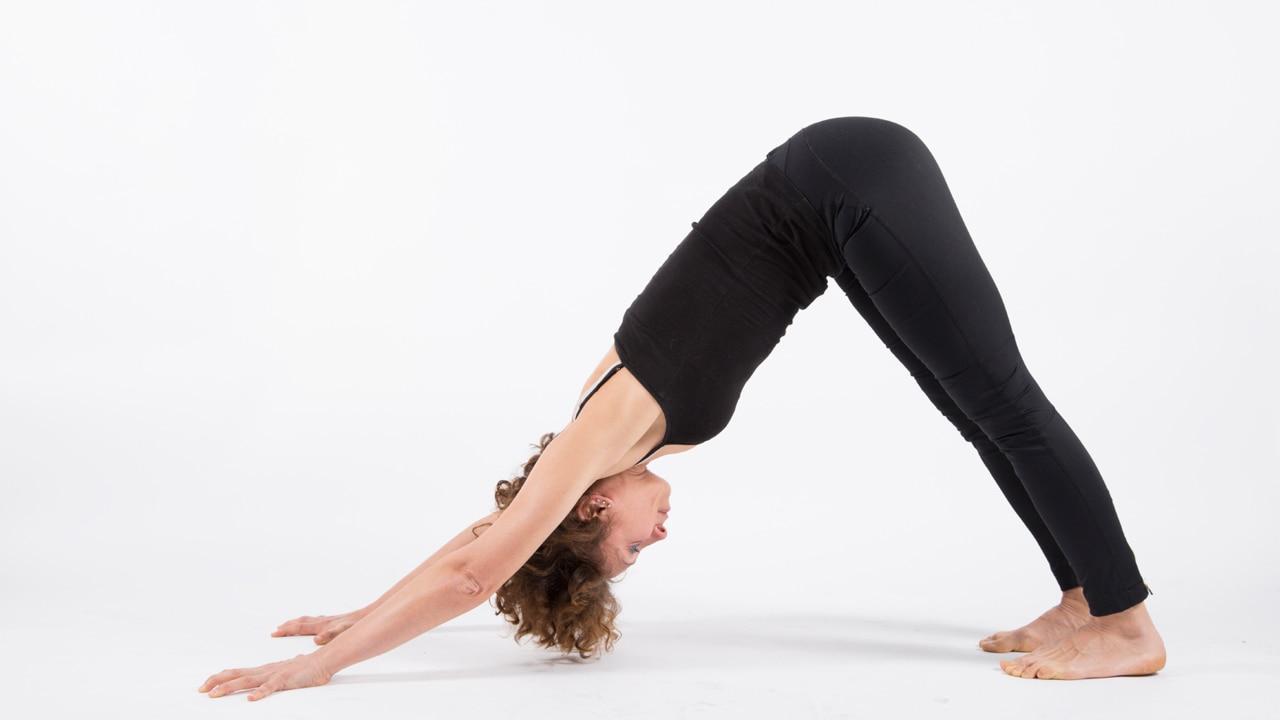 Yoga_TH2 Classification Model (v1, yoga_th2) by Luu Thi Thuy