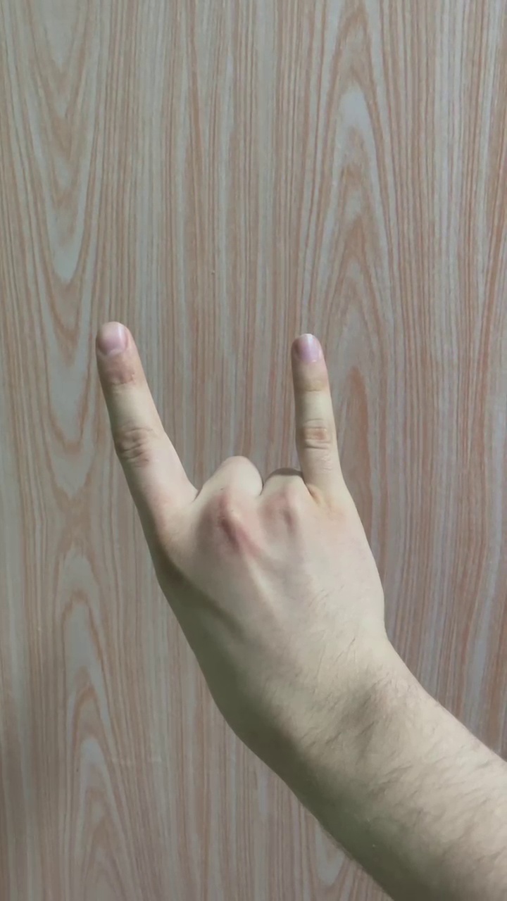 Russian Sign Language Object Detection Model by project-xoesm