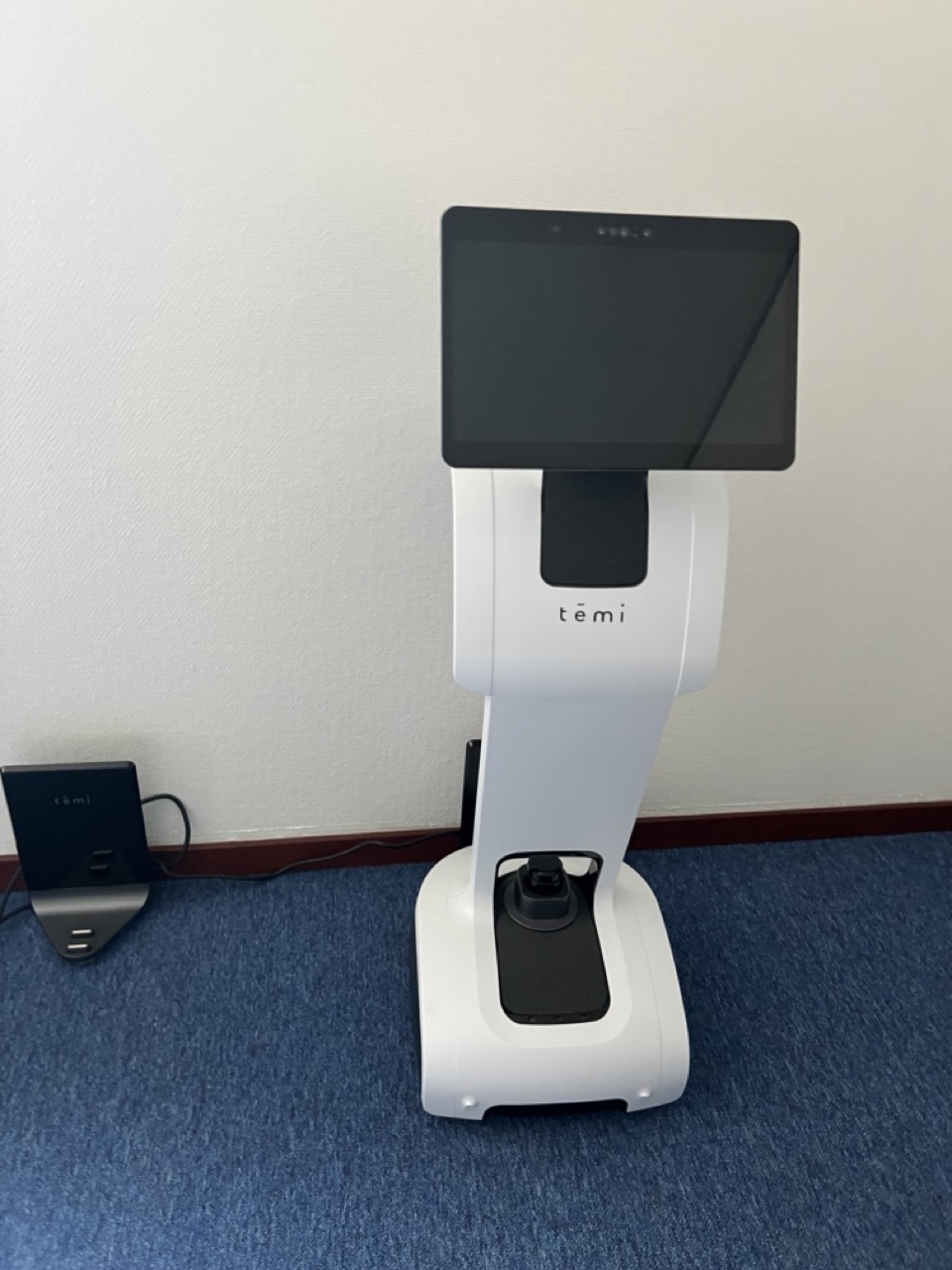 Temi Object Detection Object Detection Dataset by Temi Thesis