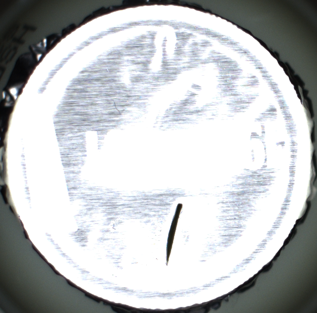 anomaly classification Classification Dataset and Pre-Trained Model by bi