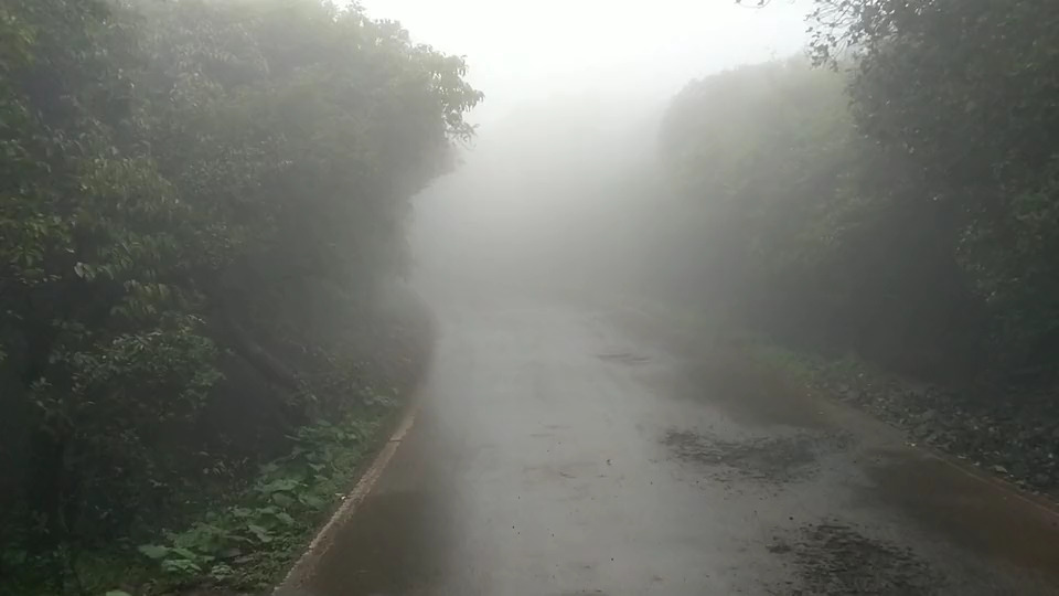 Foggy-pexels Classification Dataset by Diffusion