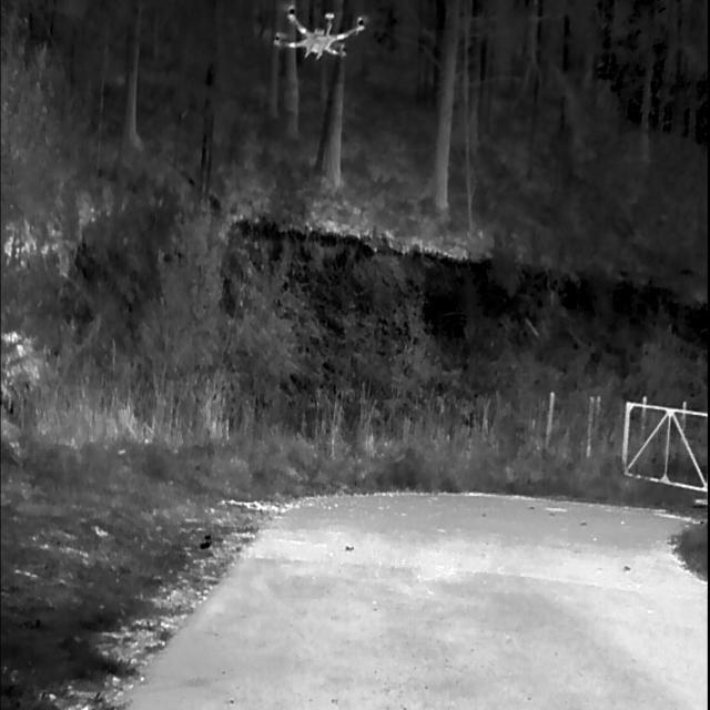 Modeltest Object Detection Dataset By Bigdata