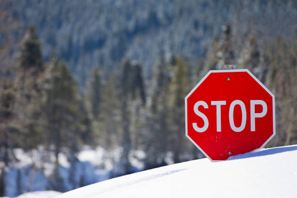 Stop-Sign Object Detection Dataset by dataSets2