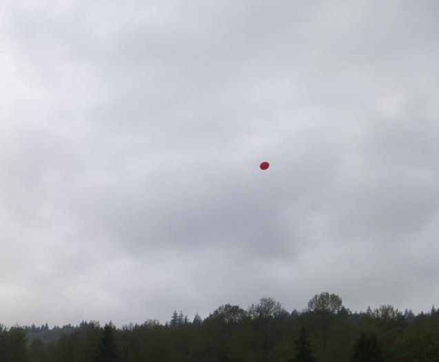 balloon Object Detection Dataset by dev spot Ai