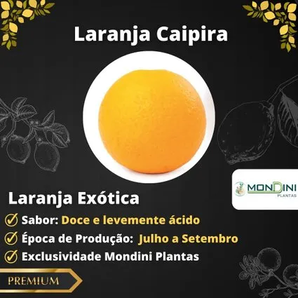 aaa (aaa-m8vj7) - Roboflow Universe