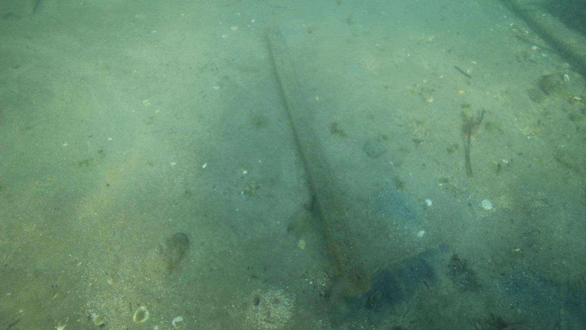 train11 Object Detection Dataset by new-workspace-sspbb