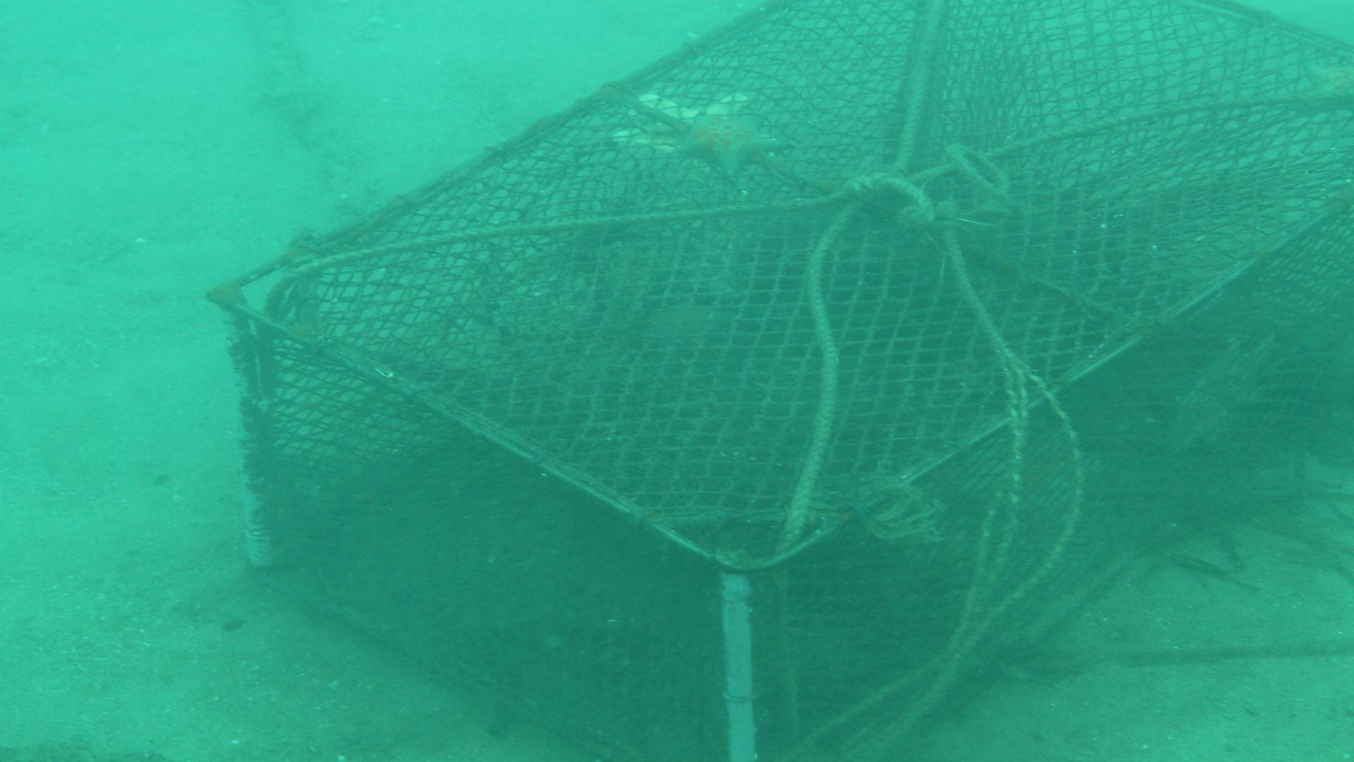 train5 Object Detection Dataset by new-workspace-sspbb