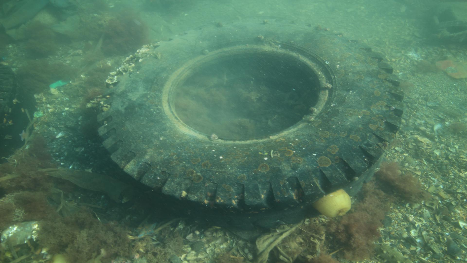 train9 Object Detection Dataset by new-workspace-sspbb