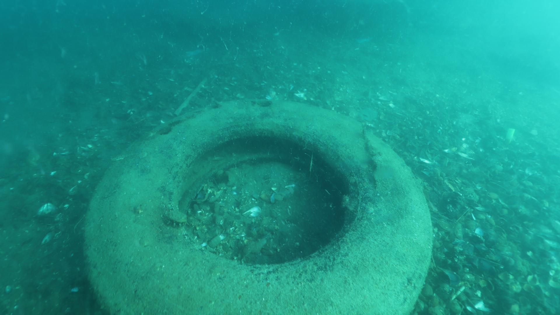 train8 Object Detection Dataset by new-workspace-sspbb