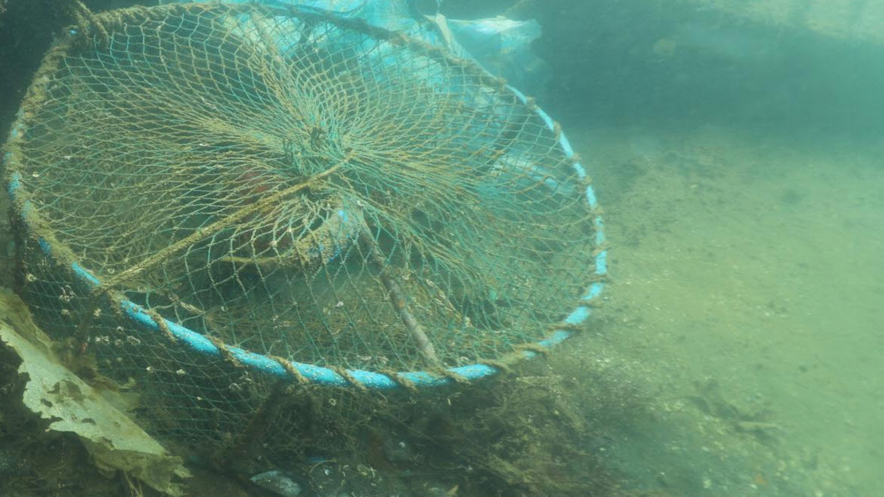 train2 Object Detection Dataset by new-workspace-sspbb