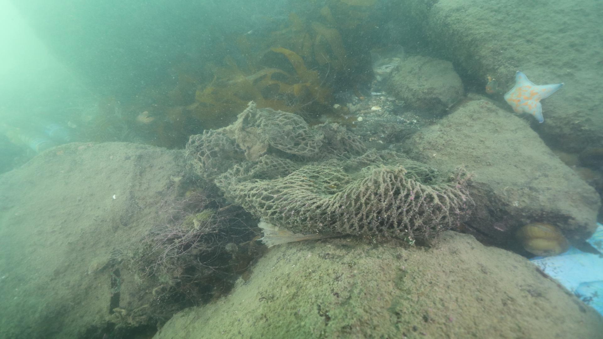 train4 Object Detection Dataset by new-workspace-sspbb