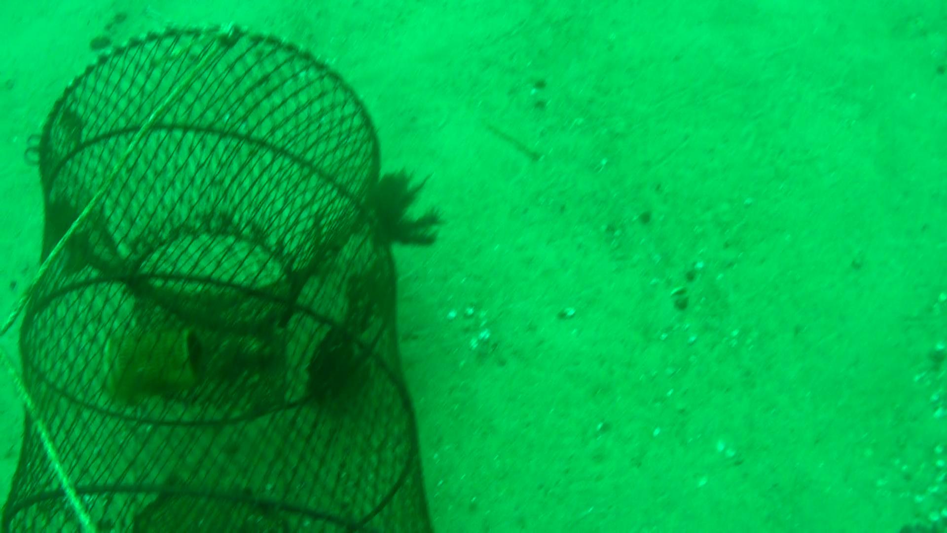 Train6 Object Detection Dataset By New Workspace Sspbb