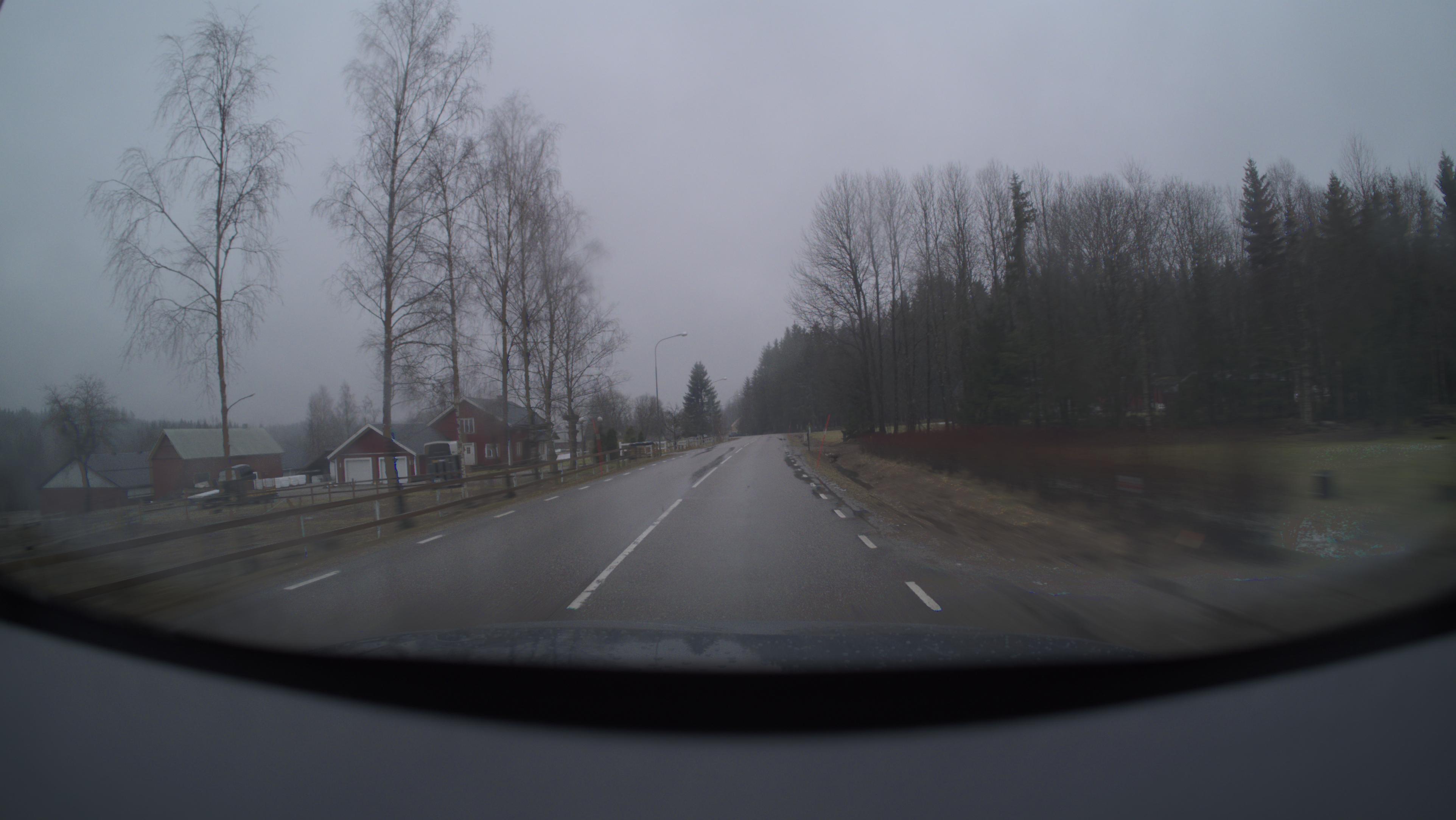 cats Object Detection Dataset by IIt