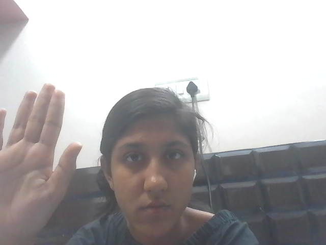 Gesture Detection Object Detection Model By Srishti