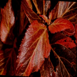 ML (ml-mrwei) - Roboflow Universe