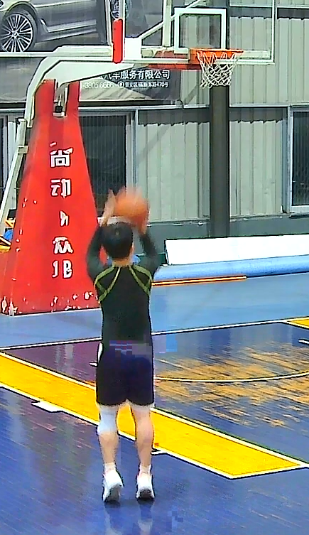 basketball Instance Segmentation Dataset by AI