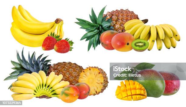 fruit detection Object Detection Dataset and Pre-Trained Model by vyshnavi