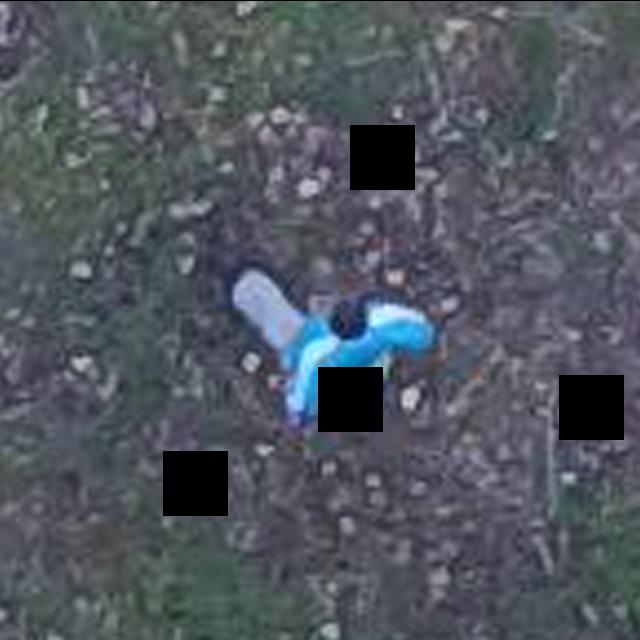 Yolov11 Object Detection Dataset By Learn