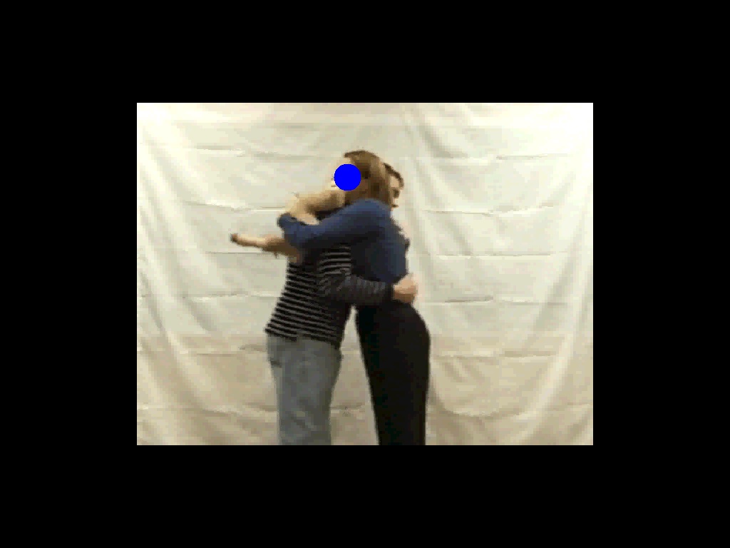 SAM2.1 dataset (V2) Instance Segmentation Model by Eye Tracking