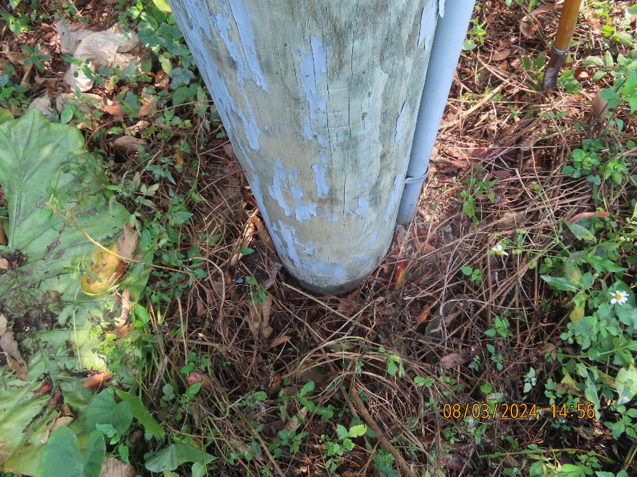 Clp Pole Object Detection Dataset By Supervision