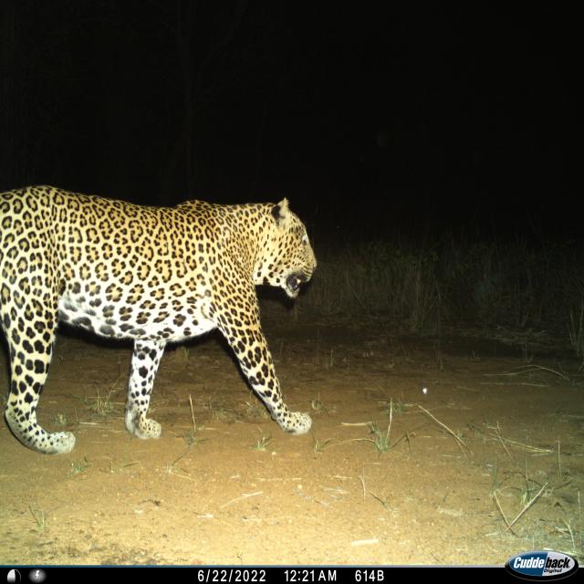 head-body-tail Object Detection Dataset and Pre-Trained Model by march26bnBprob