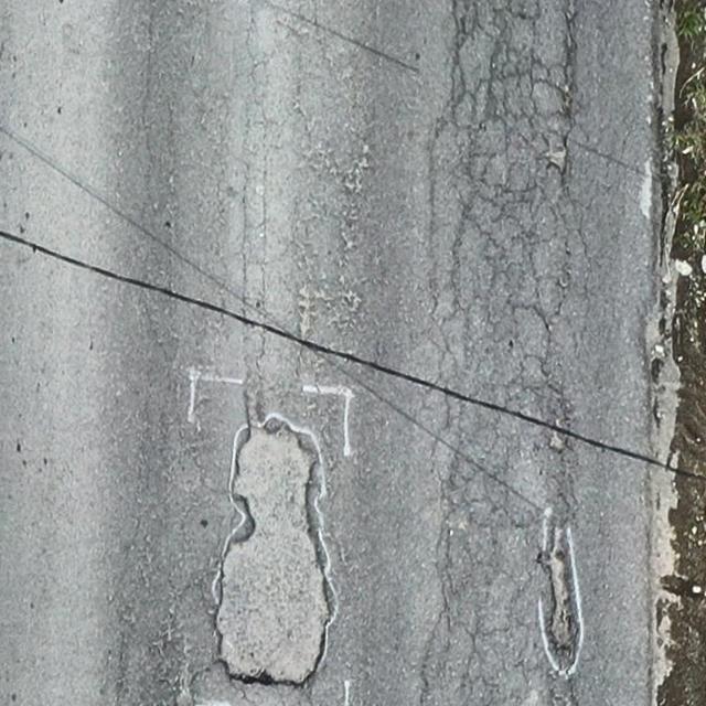 RDD Dataset 11 Instance Segmentation Dataset by YOLO