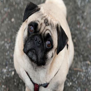 Class 2 test Classification Model by Workspace1