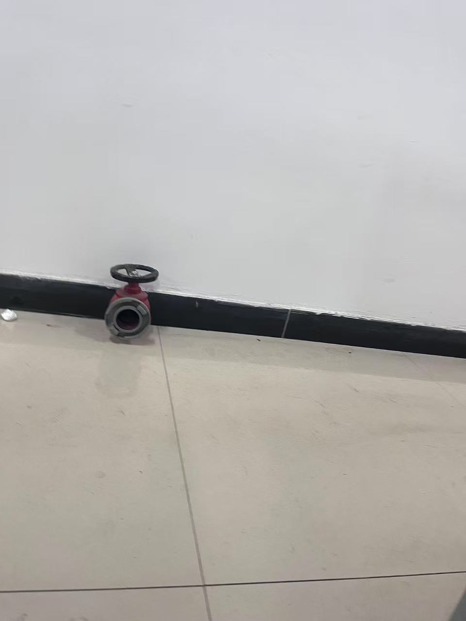 Fire Hydrant Object Detection Dataset By F Z