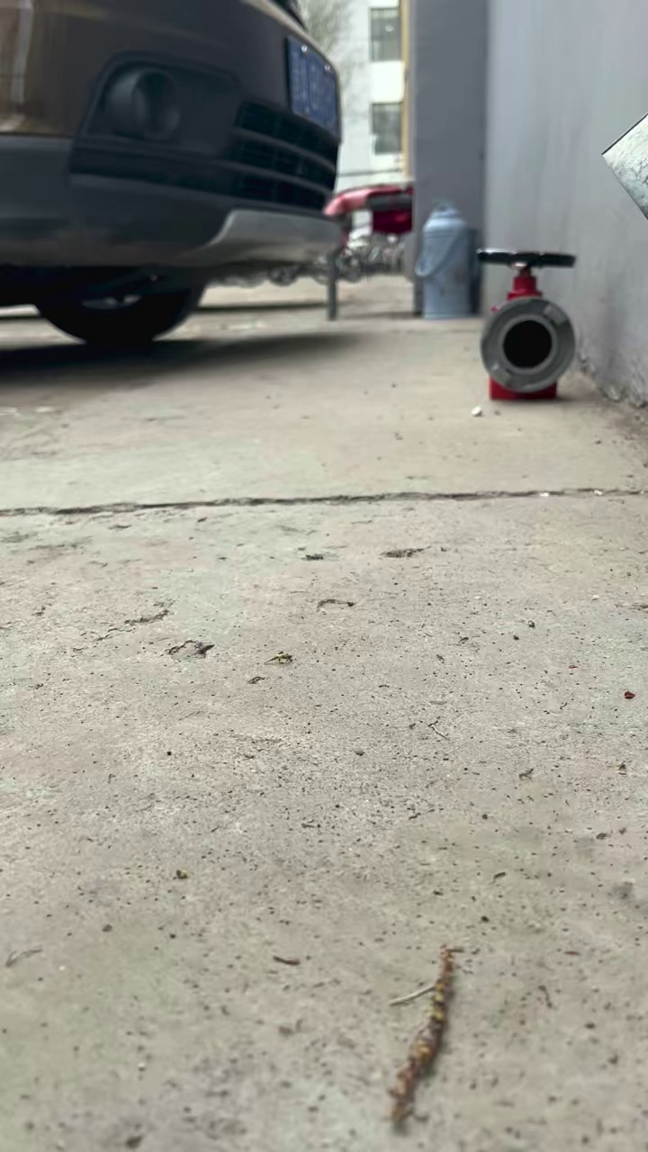 Fire Hydrant Interface Object Detection Model By F Z