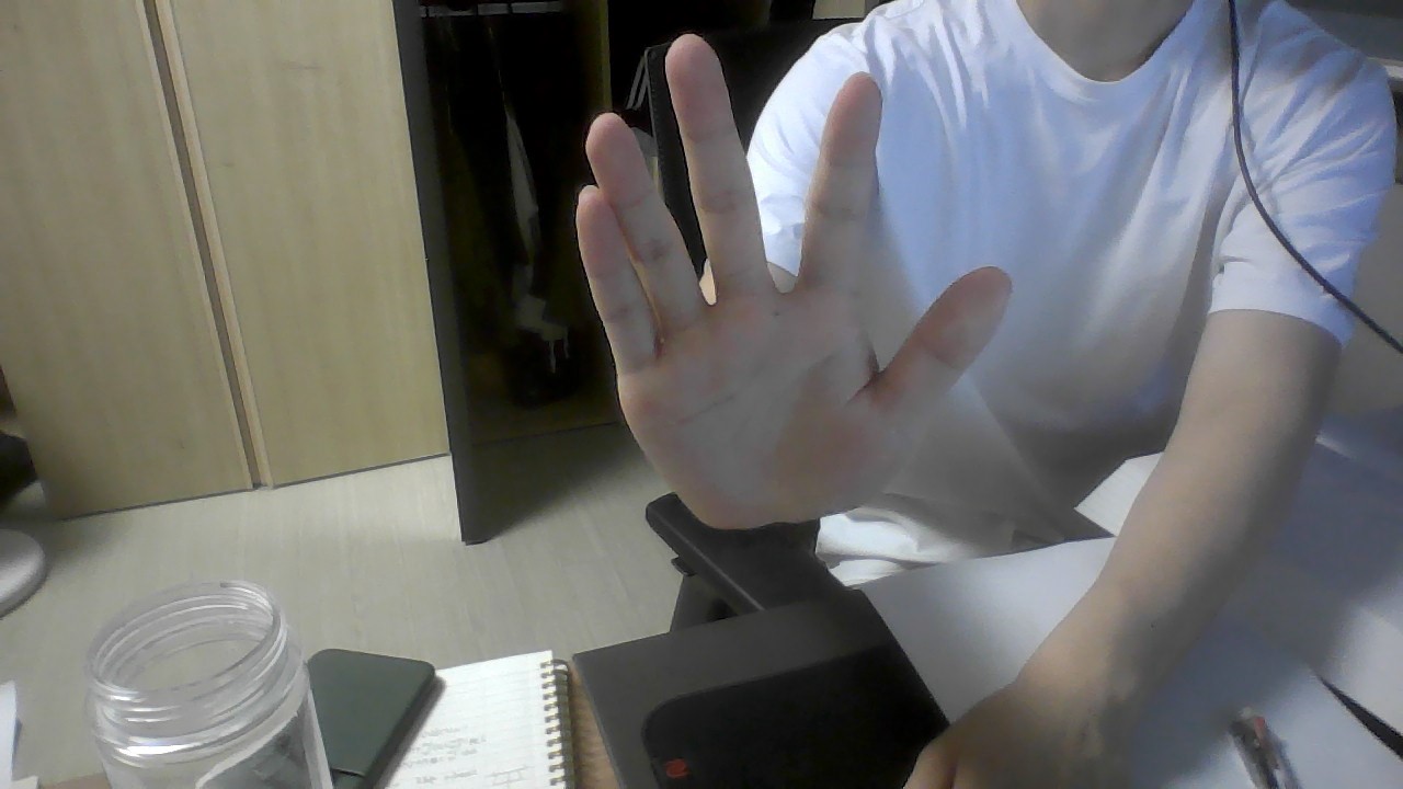 asdf Object Detection Dataset by asdf